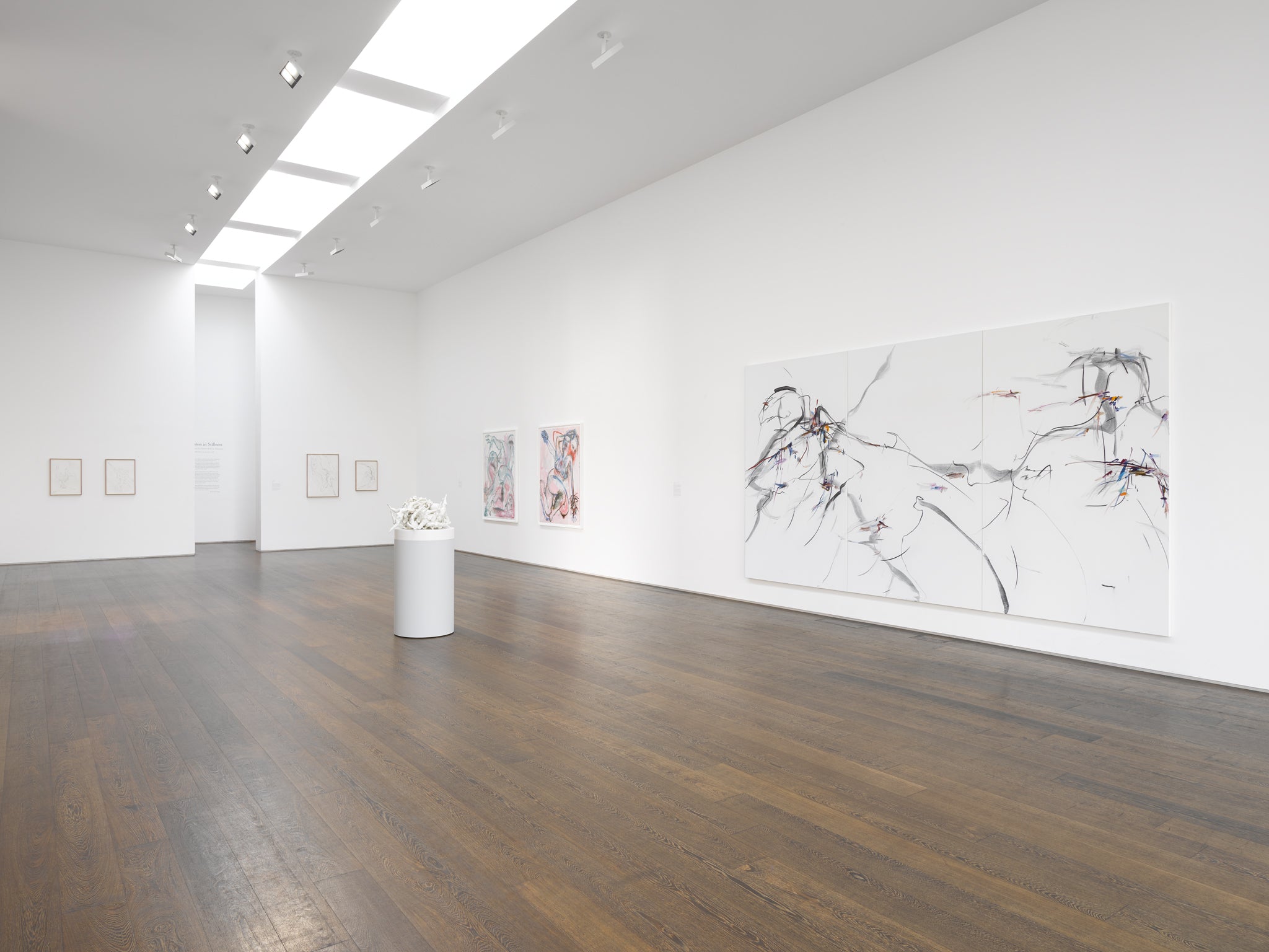 GROUP SHOW WITH XIYAO WANG MOTION IN STILLNESS: DANCE AND THE HUMAN BO ...