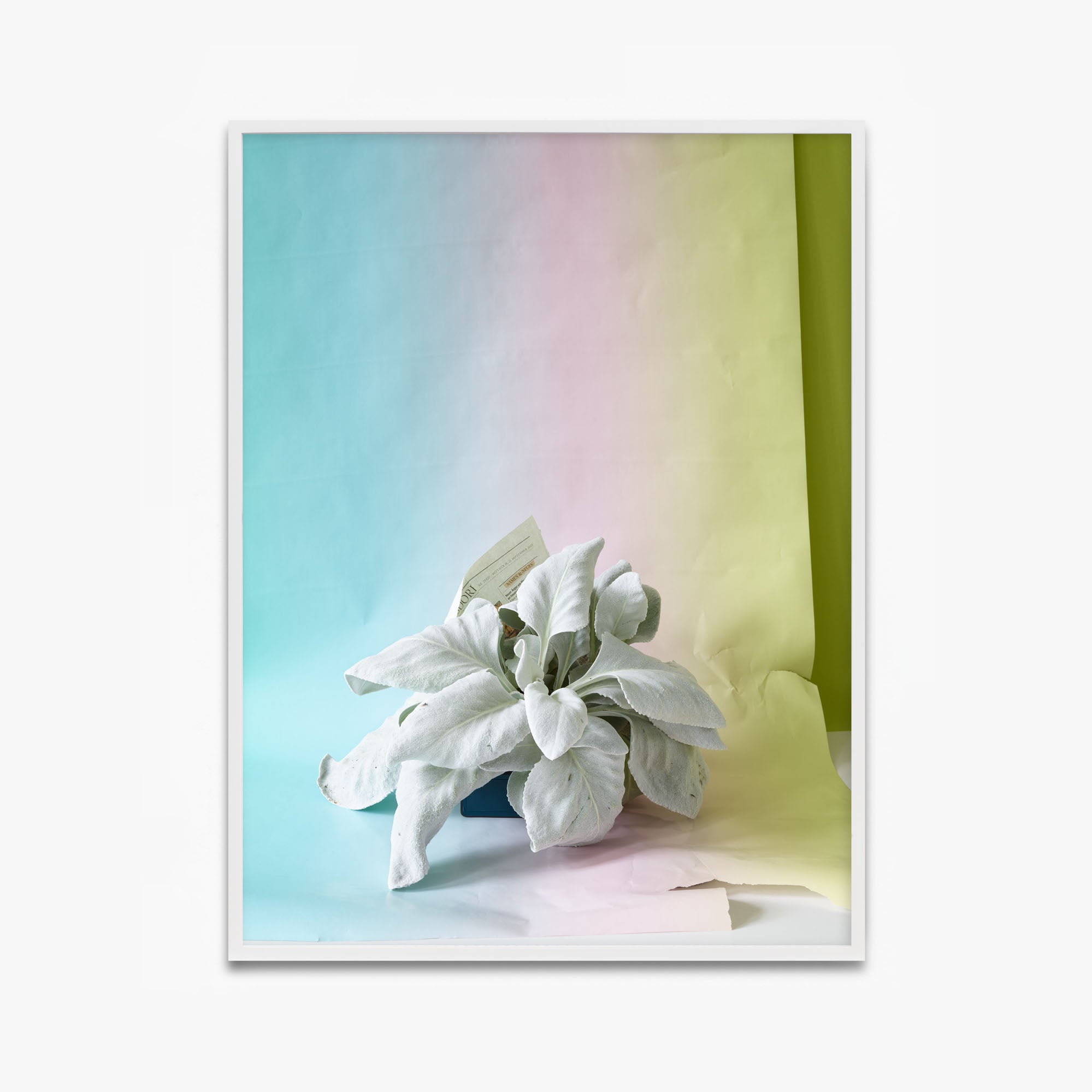 ANNETTE KELM – KÖNIG GALERIE